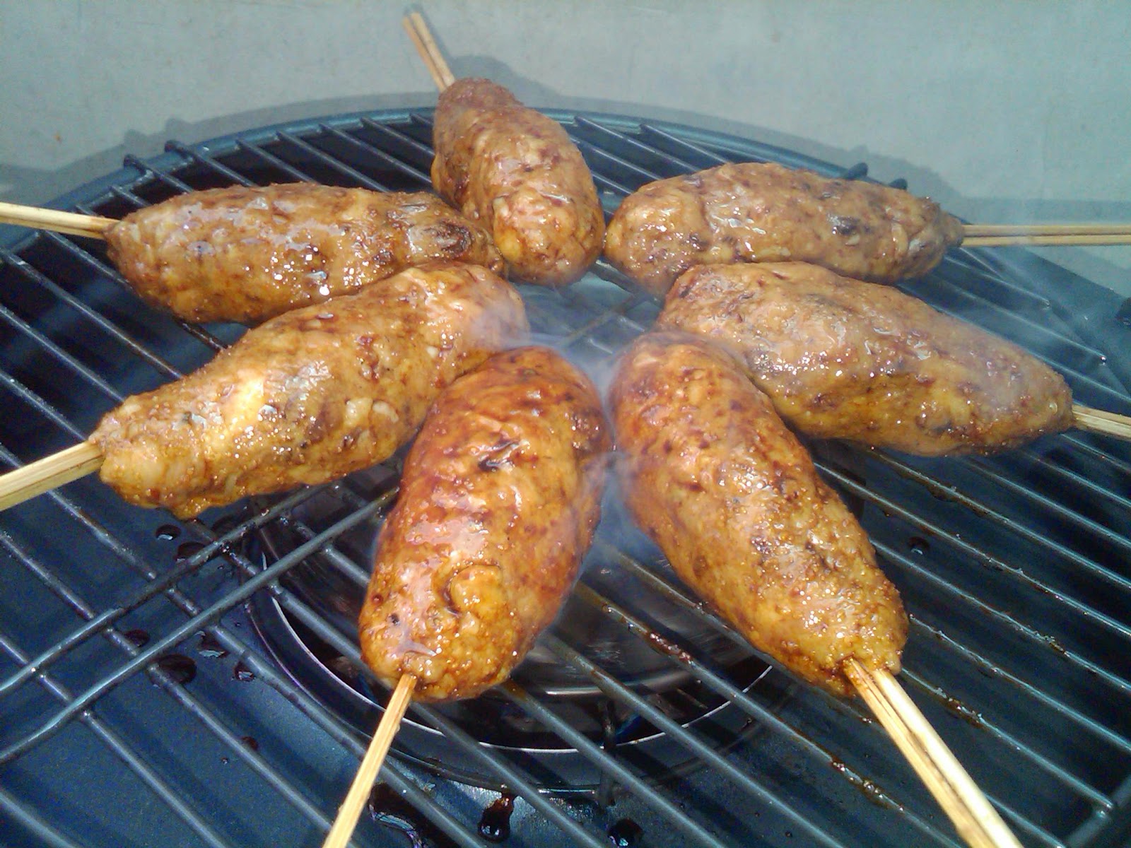 EGA DEVA: Various Kinds of Sate ( Satay ) in Indonesia