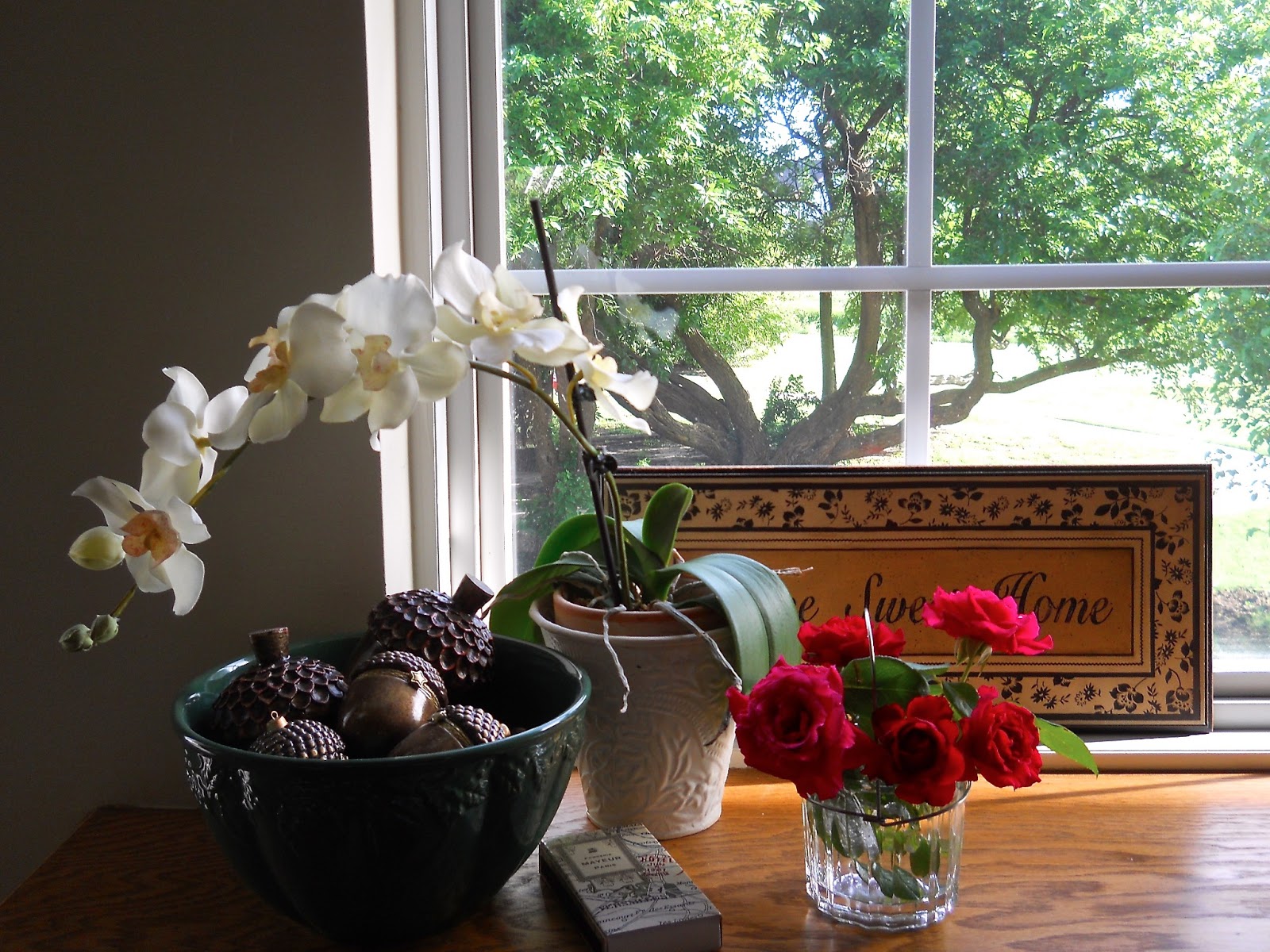 A Kansas Prairie Garden: Checkerboard patio