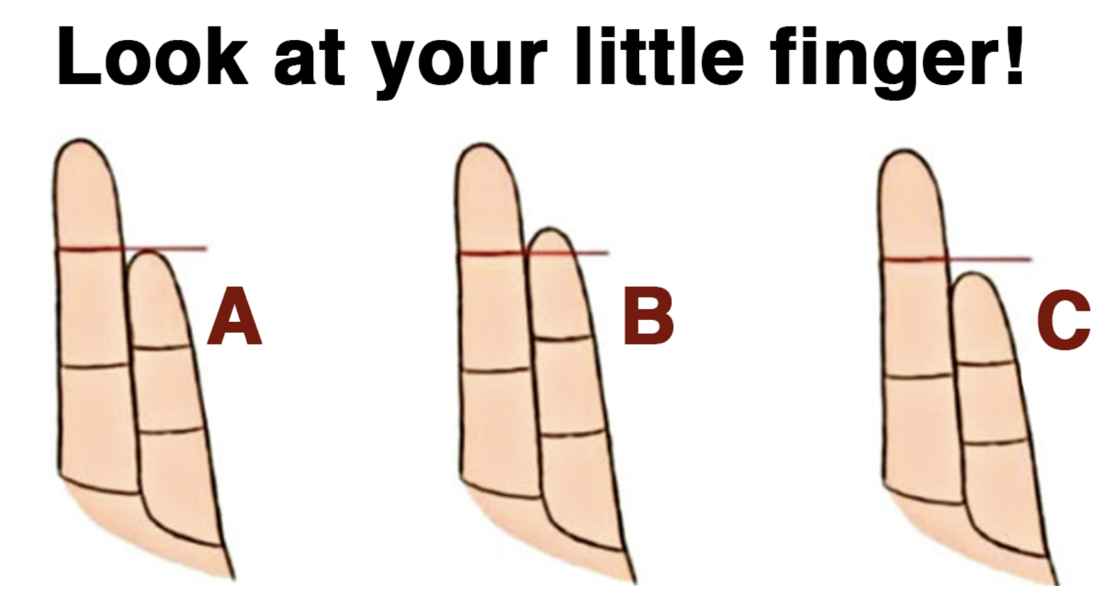 The Length Of This Finger Is The Secret To Your Personality