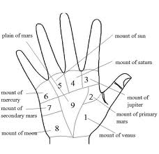 Learn Hindi Palmistry ~ INDIAN PALMISTRY | PALM READING | HAST REKHA GYAN
