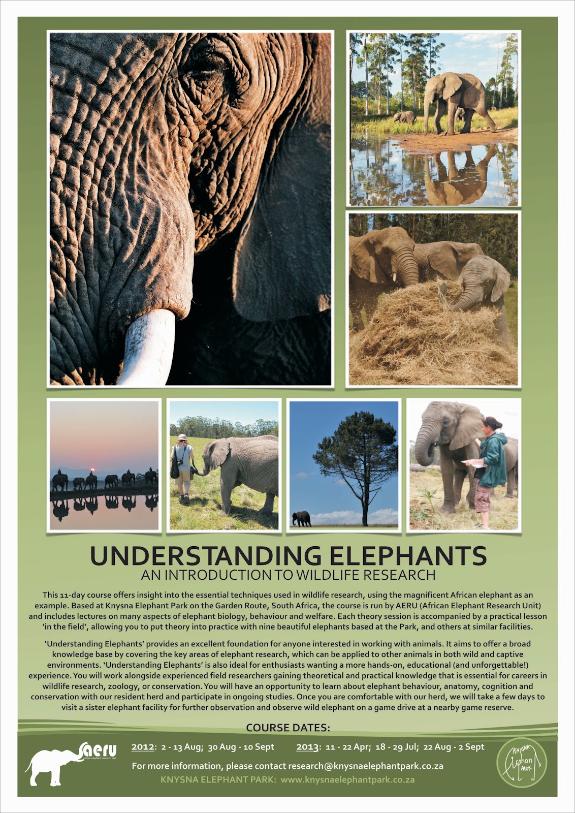 African Elephant Research Unit