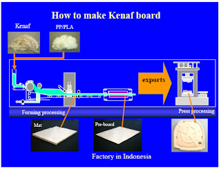 MARDI Muadzam Shah: Ringkasan Mengenai Tanaman Kenaf Hibiscus cannabinus
