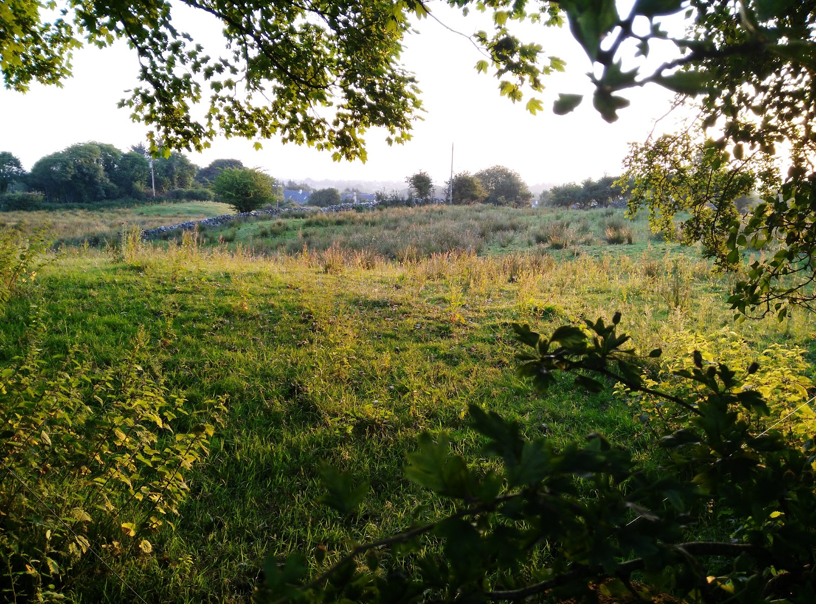 POSTCARDS FROM IRELAND: Moycullen, The Lovely Village We Live In