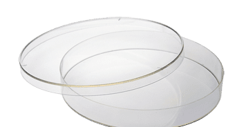 Jual Wadah Petridish Transparan (Alat Praktikum) - Toko Medis Jual Alat ...