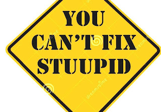 You Can't Fix Stupid - Can T Fix Stupid Quote