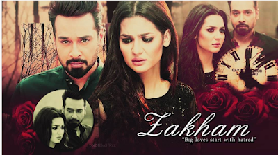 Zakham 2017 Pakistan Dizisi - Tutkunun Rengi