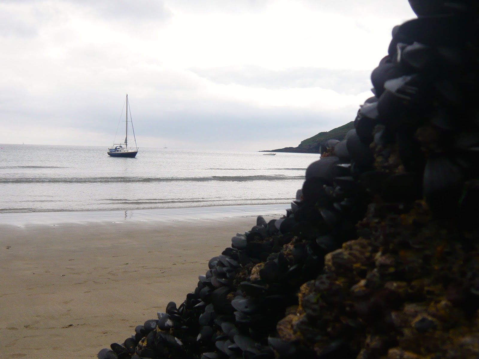 The Mowdog On The Road...: GORRAN HAVEN, CORNWALL: A POEM & IMAGES...