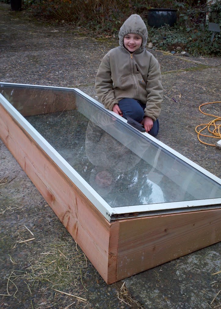 Mary's Milk Monsters: An Upcycled Cold Frame For An Early Start