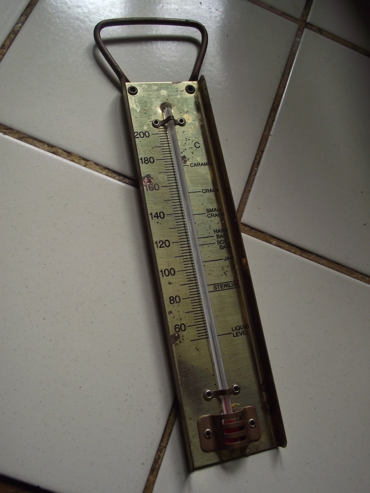 Dandelion Jam recipe