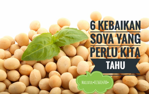 KHASIAT PROTEIN KACANG SOYA