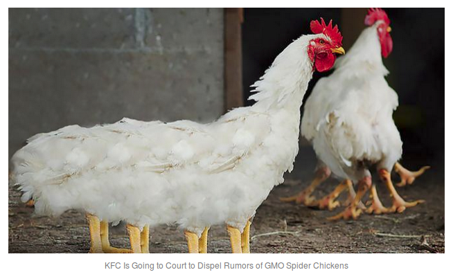 joed205: KFC Dispels Rumors of GMO Spider Chickens