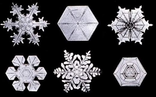 Snowflake Bentley & Winter Craft | Days of Chalk and Chocolate