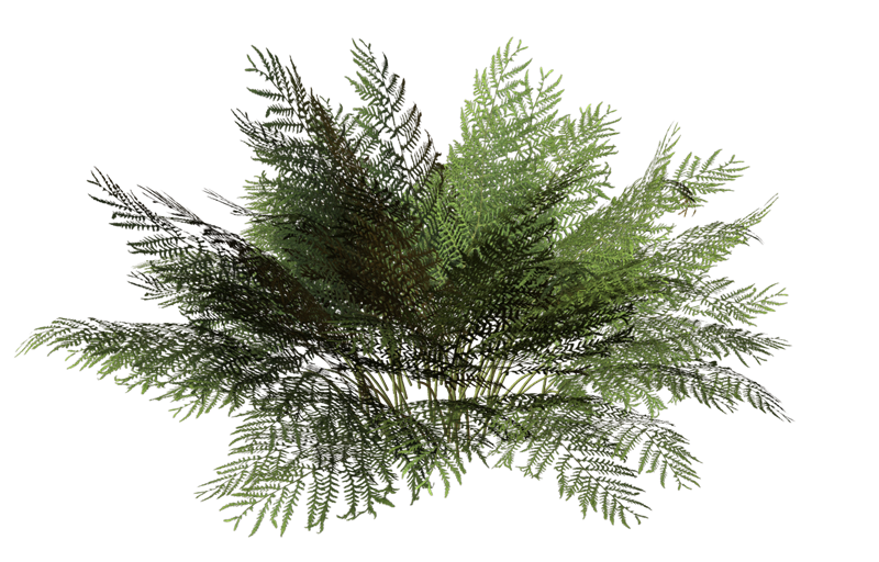 ® Colección de Gifs ®: IMÁGENES DE PLANTAS Y ARBUSTOS