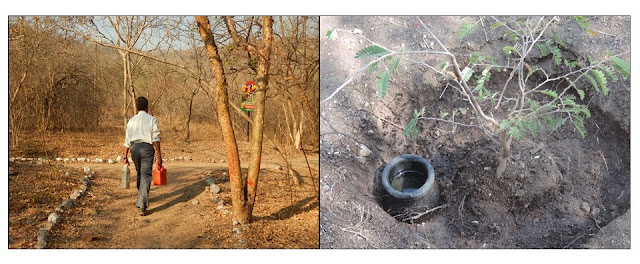 FORREST NGO: Bhamburda Forest Garden