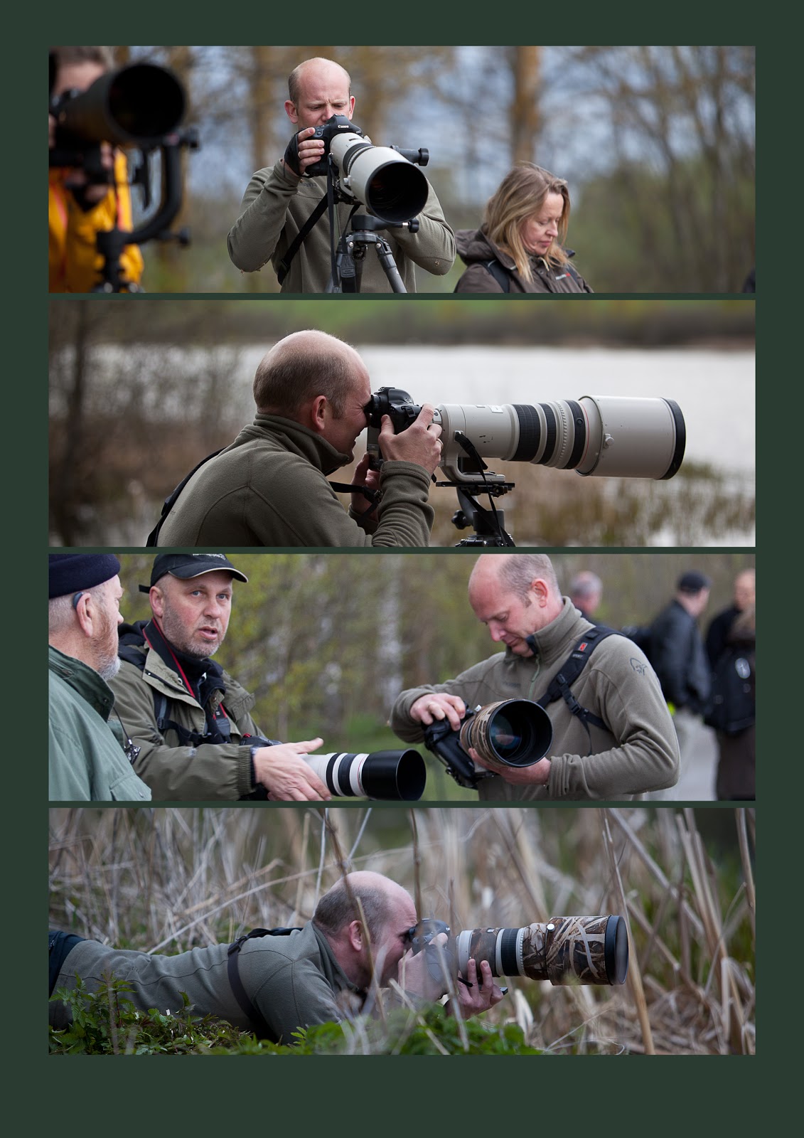 Espen´s Naturephoto: May 2012