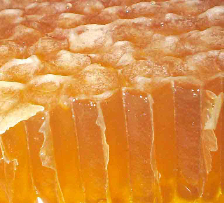 Noticias de Apicultura, Miel, Jalea Real....: TIPOS DE MIEL