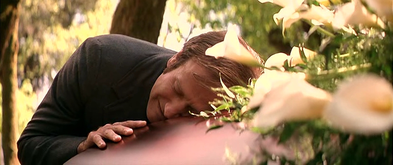 Robin Williams's movies which have an influence on ME!: Patch Adams(1998)