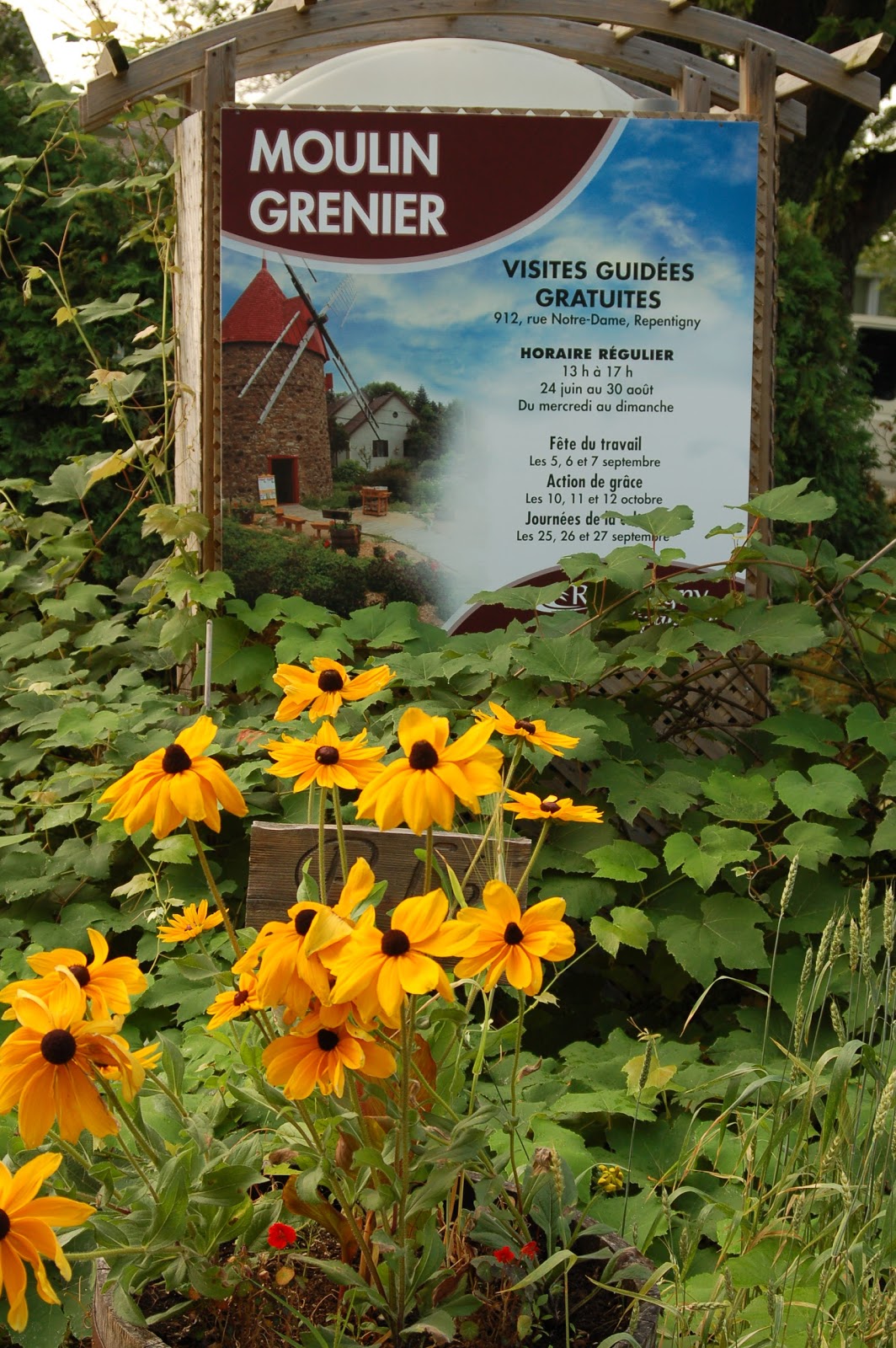 FrancoAmerican Gravy: Family History & Stories from Upstate New York ...