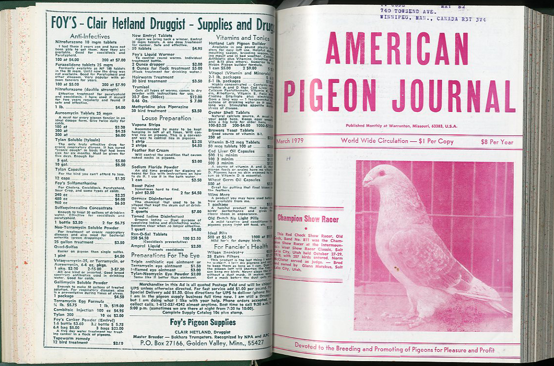 stopping off place: wooden eggs