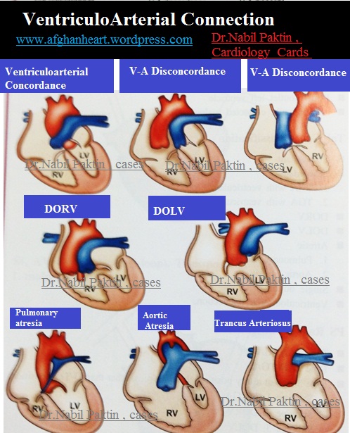 Dr.Nabil Paktin's Journal of Cardiovascular Medicine Blog ژورنال ( قلب ...