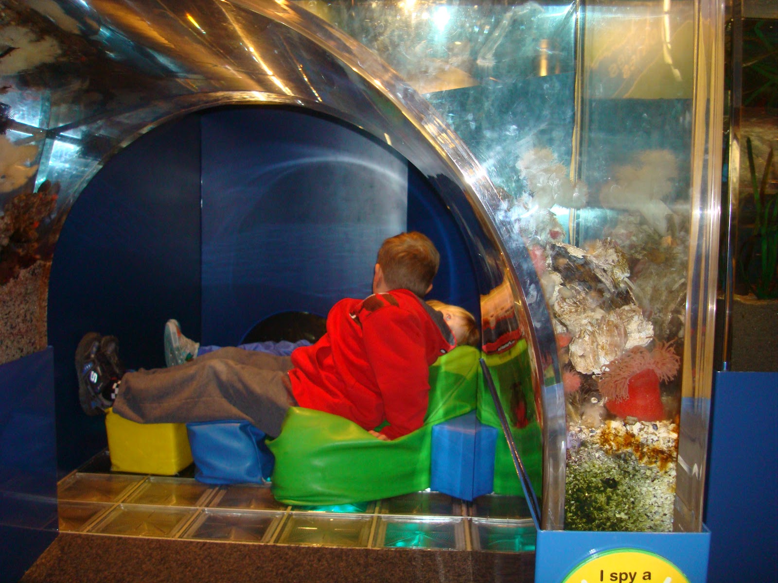 Traveling With Kids: Visiting Vancouver Aquarium with my spring ...