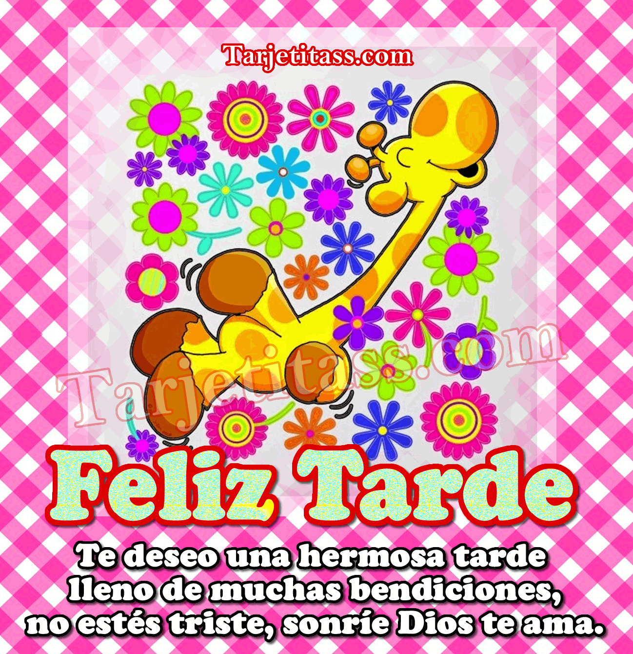 ☀👄BUENAS TARDES AMOR ☀👄 - Ya que la tarde nos ilumina con su presencia ...