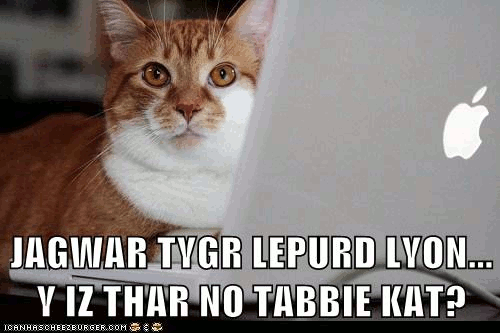 Grammar Catz: Grammar Cat #80: Mac OS X Cat