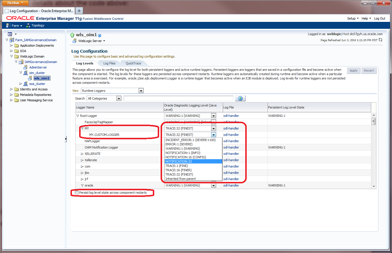Oracle Fusion Middleware Security Logging In Oim Custom Code 1886