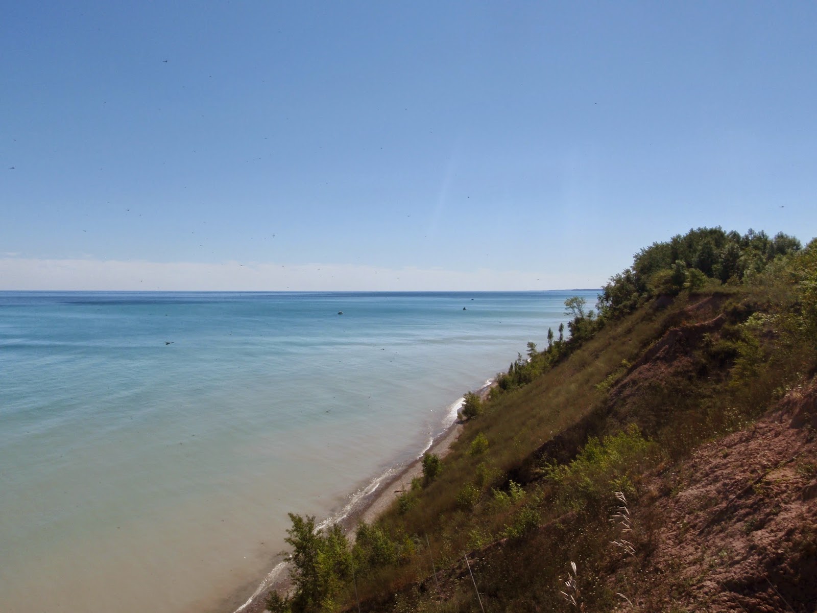 Great Outdoors: Lion's Den Gorge Nature Preserve - Bluffs, Wetlands and ...