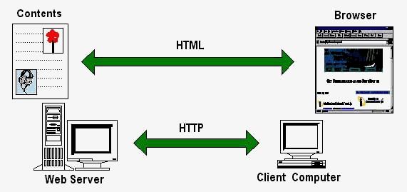 Assignment 5: หน้าที่และการทำงานโพรโตคอล (Protocol)