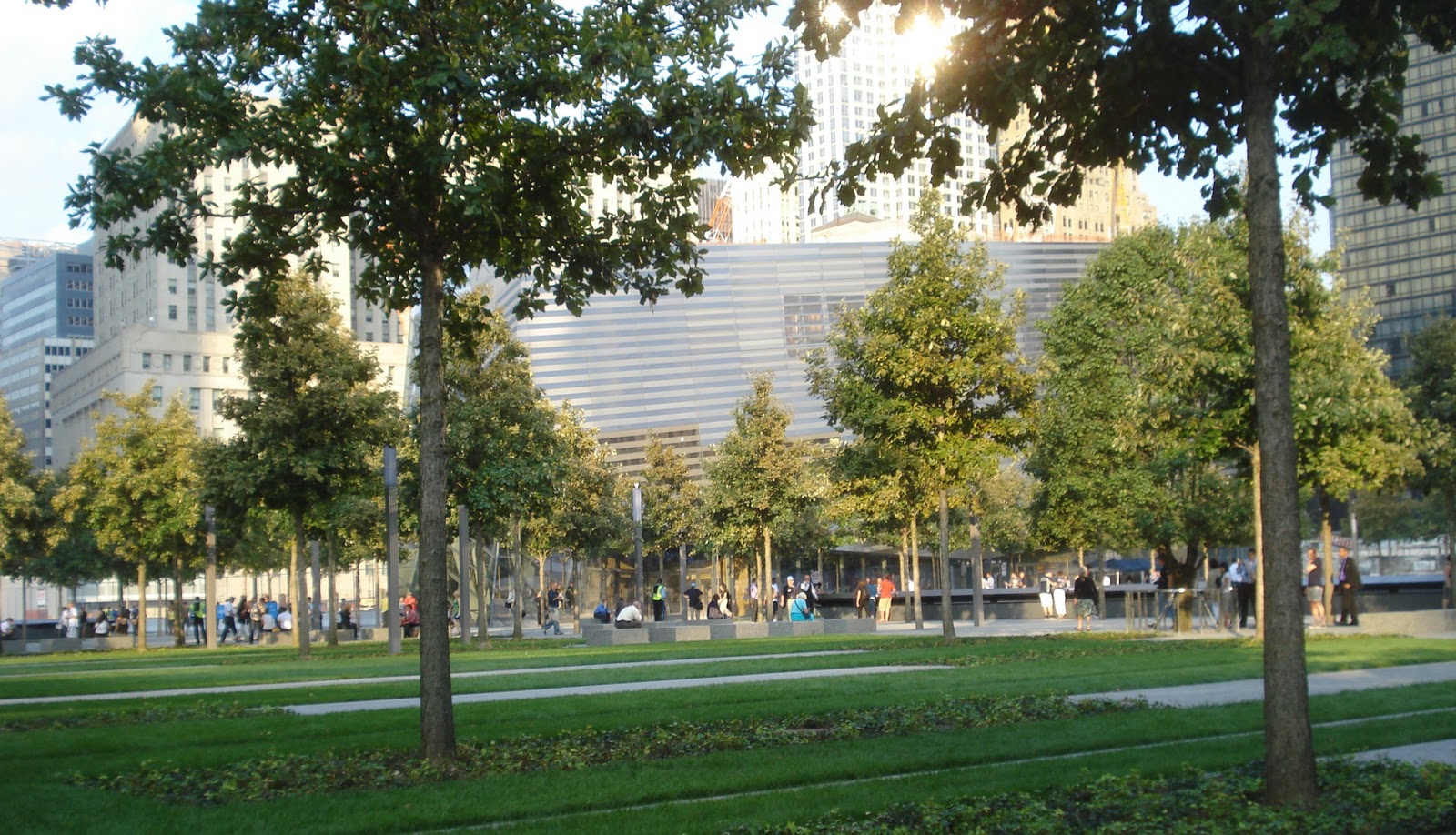 Growing Hermione's Garden