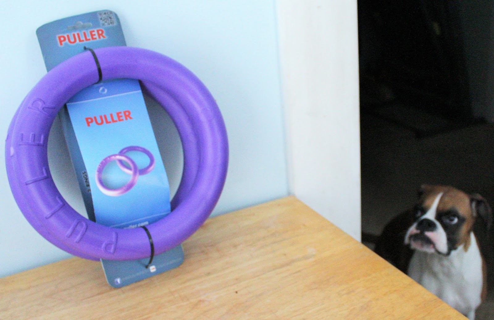 Dog Madness: Puller An Unique Interactive Training Device For A Healthy ...