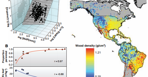 الجغرافيا : دراسات و أبحاث جغرافية: Microbial biogeography: from ...