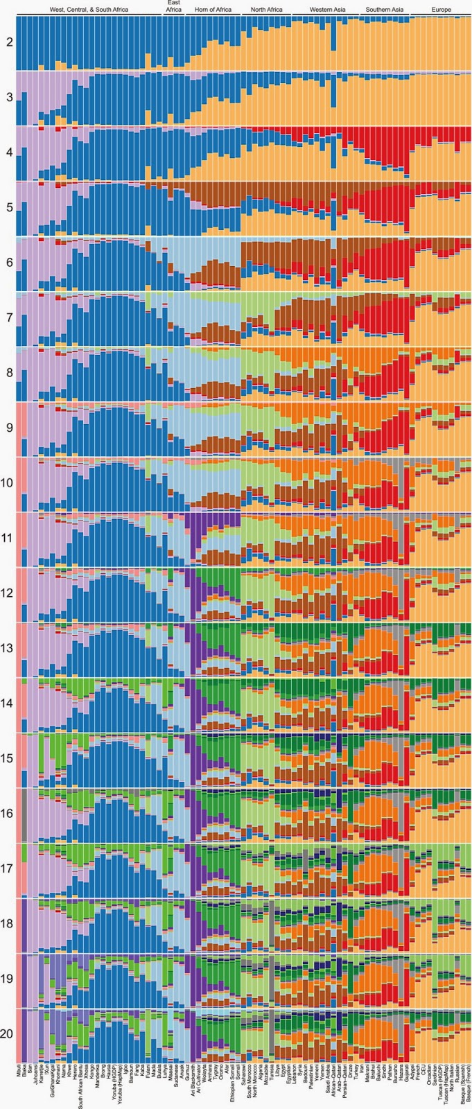 Anthromadness: ANE & its connection to Caucasus admixture