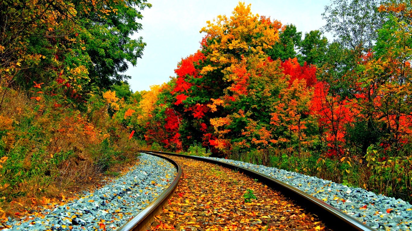 uhd wallpapers: Fall Train Tracks wallpaper