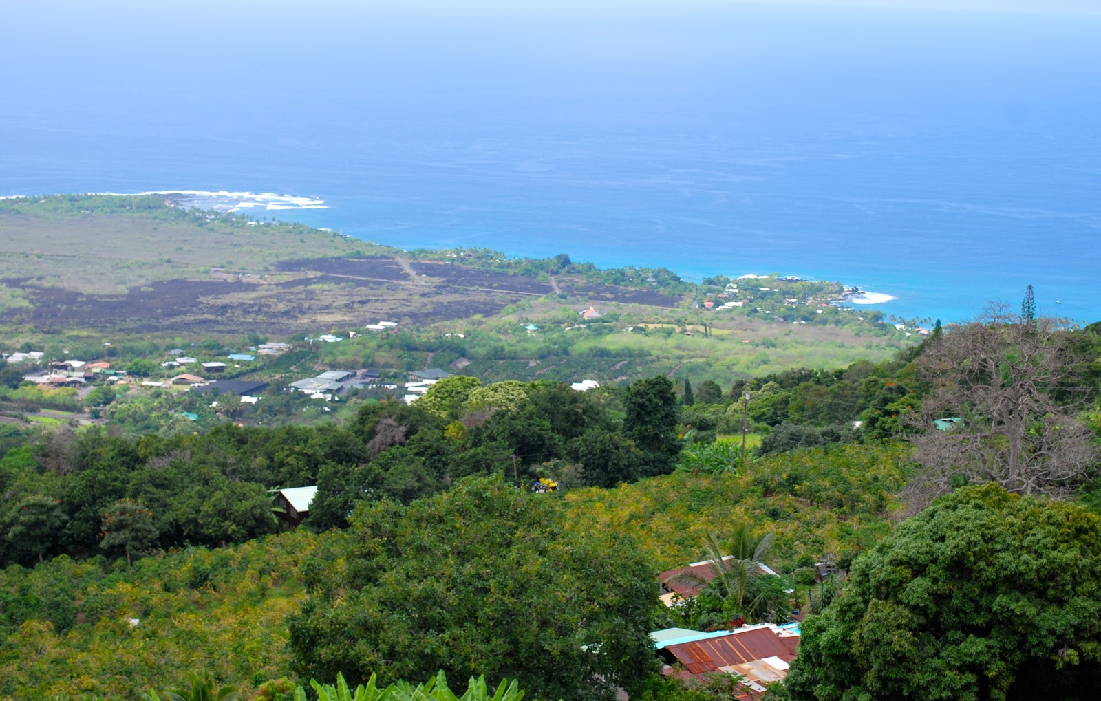 Aloha Joe in Hawaii: Photos of the Big Island of Hawaii's Coastline by ...