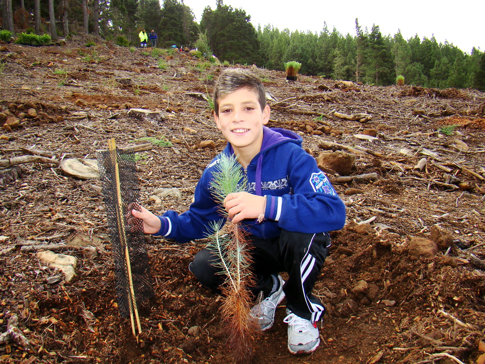 Mi Gran Canaria: ASERRADOR, MONTAÑA EL (TEJEDA)