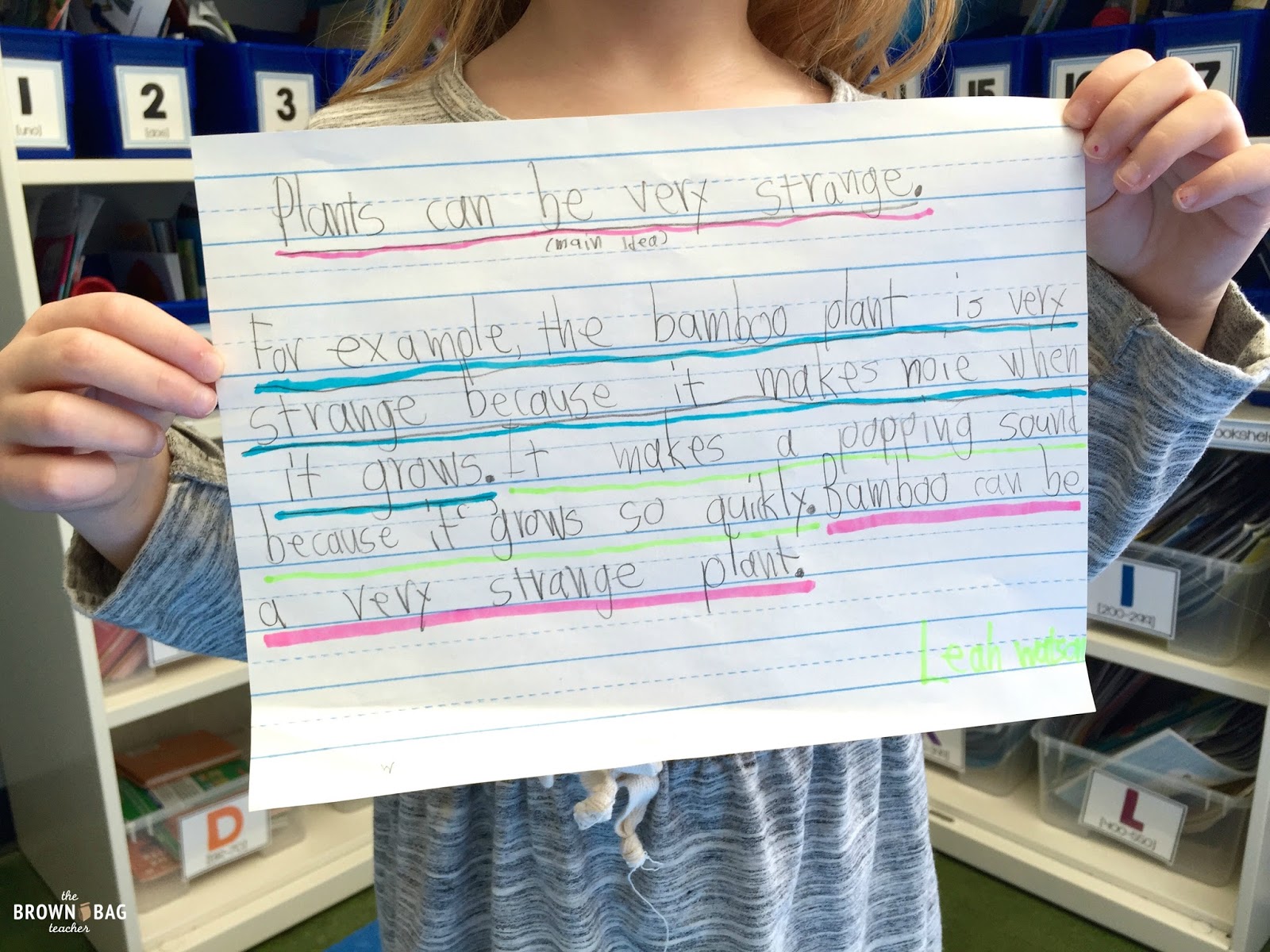 Paragraph Writing in 1st Grade | The Brown-Bag Teacher | Bloglovin’