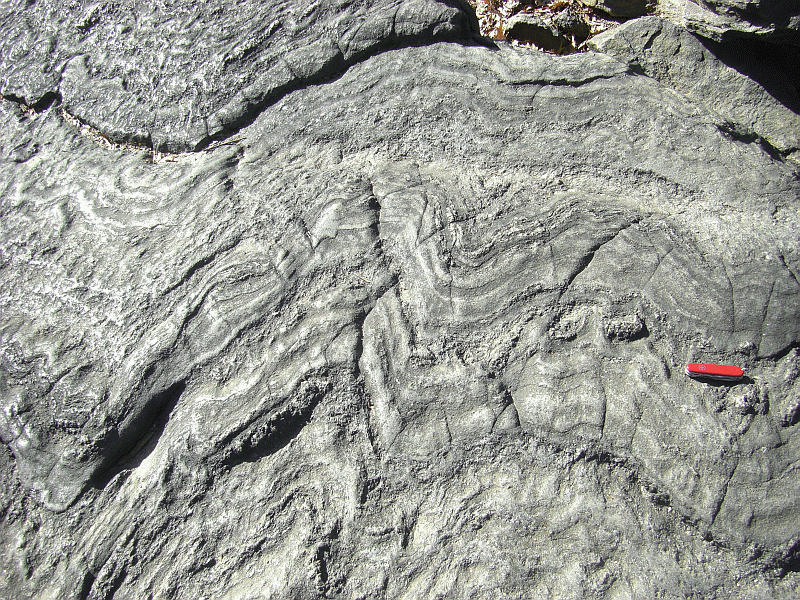 Umpire (Rat) Rock in Central Park ~ Hudson Valley Geologist