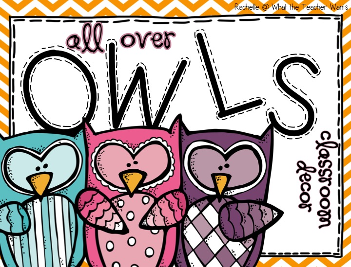 What the Teacher Wants!: All Over Owls {Classroom Decor}