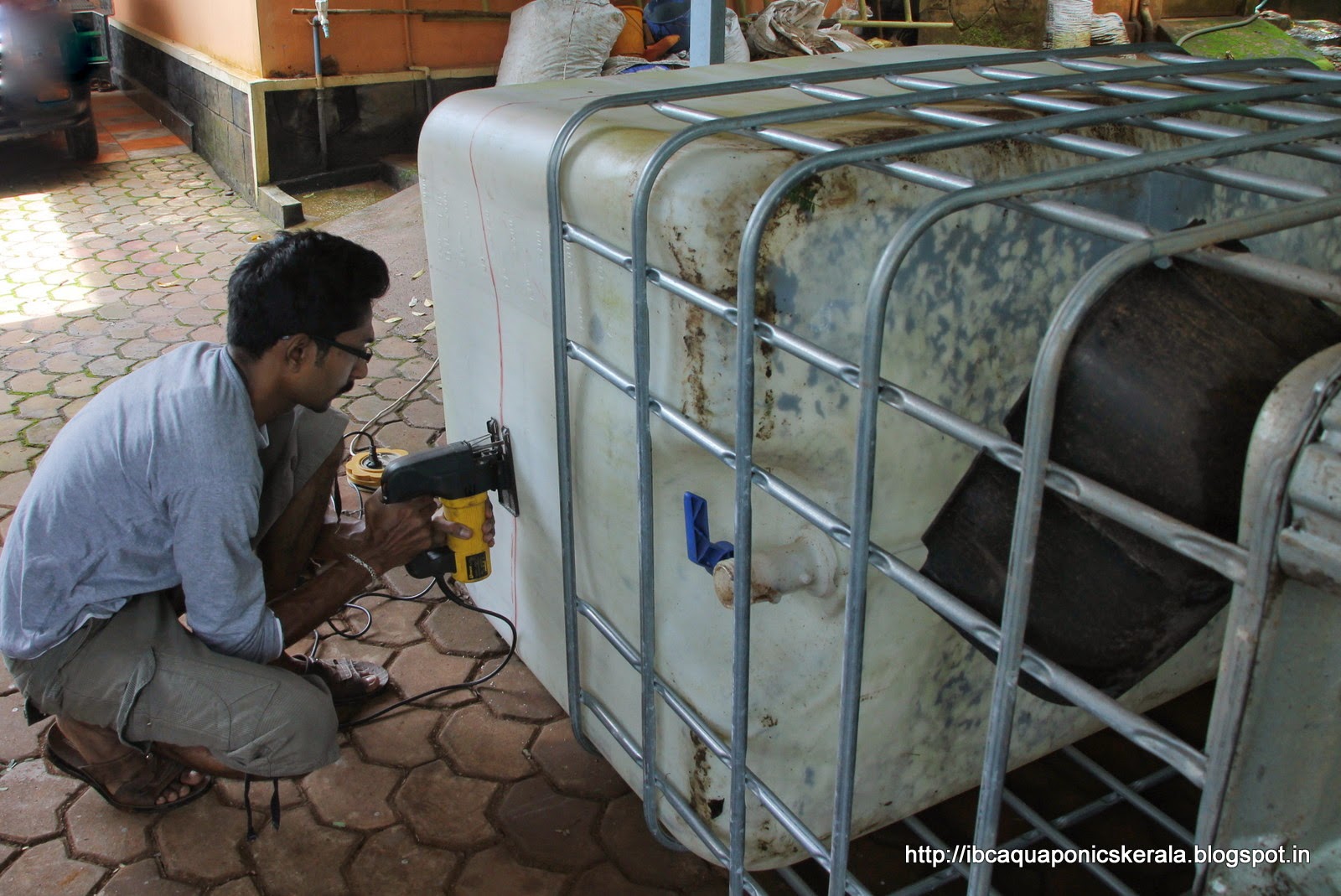 IBC Aquaponics Kerala: IBC Tank Preparation - Day1
