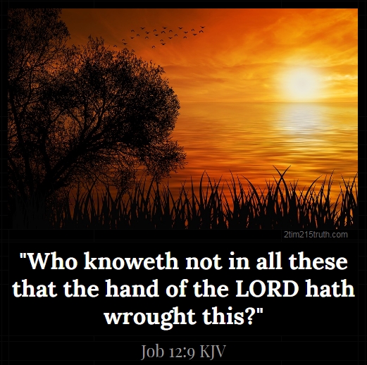 2 Timothy 2:15 Truth: Verse of the Day: Job 12:9 KJV
