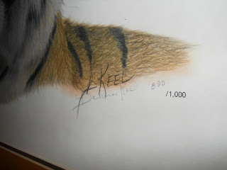 Peak Discounters: Wildlife Art: "Siberian Tiger" by Barbara Keel - $150