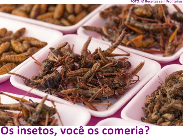 Innaldo Sardinha: OS INSETOS, VOCÊ OS COMERIA?...