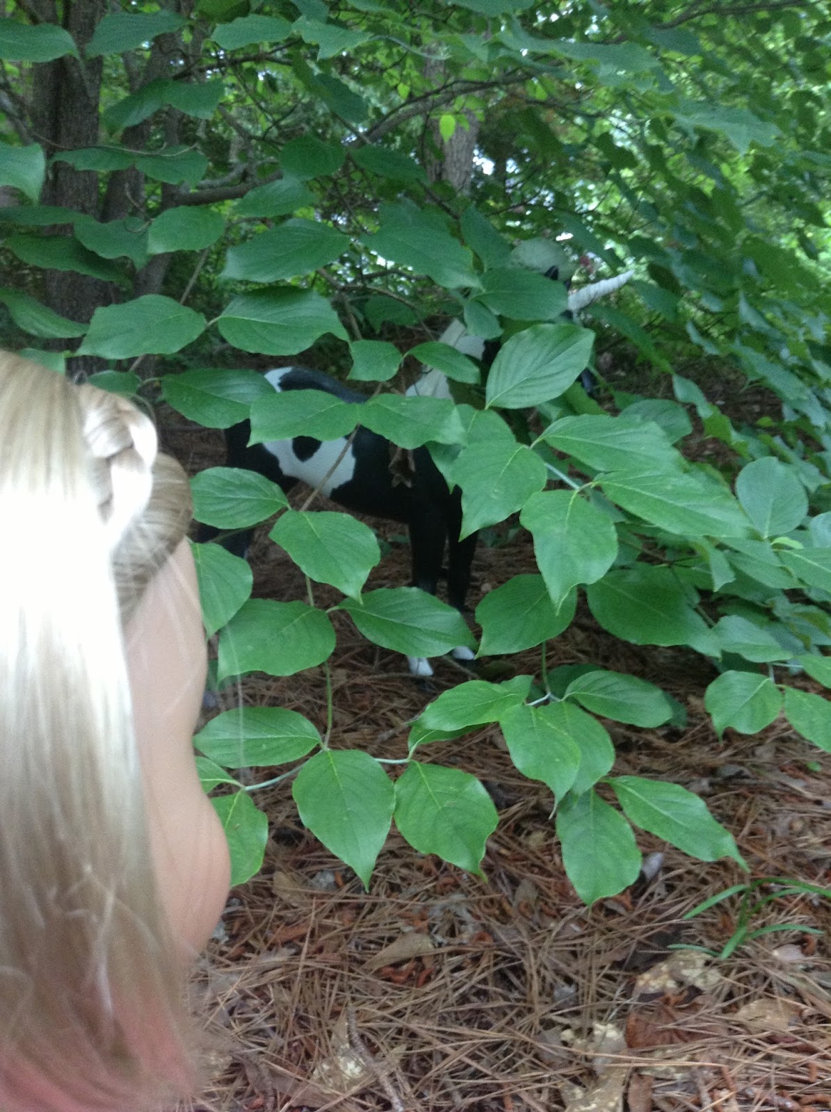 Hidden Hollow AG Dolls: The Gems of Power