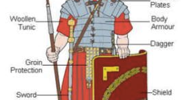 Biomimicry Selangor: The journey of a turtle: Bio-inspiration - Turtle ...