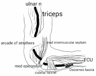 CUBITAL TUNNEL SYNDROME - DNB Orthopaedics MS Orthopedics MRCS Exam ...