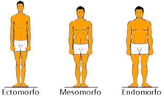 Synergy WorldWide España Benidorm. Costa Blanca: Los biotipos