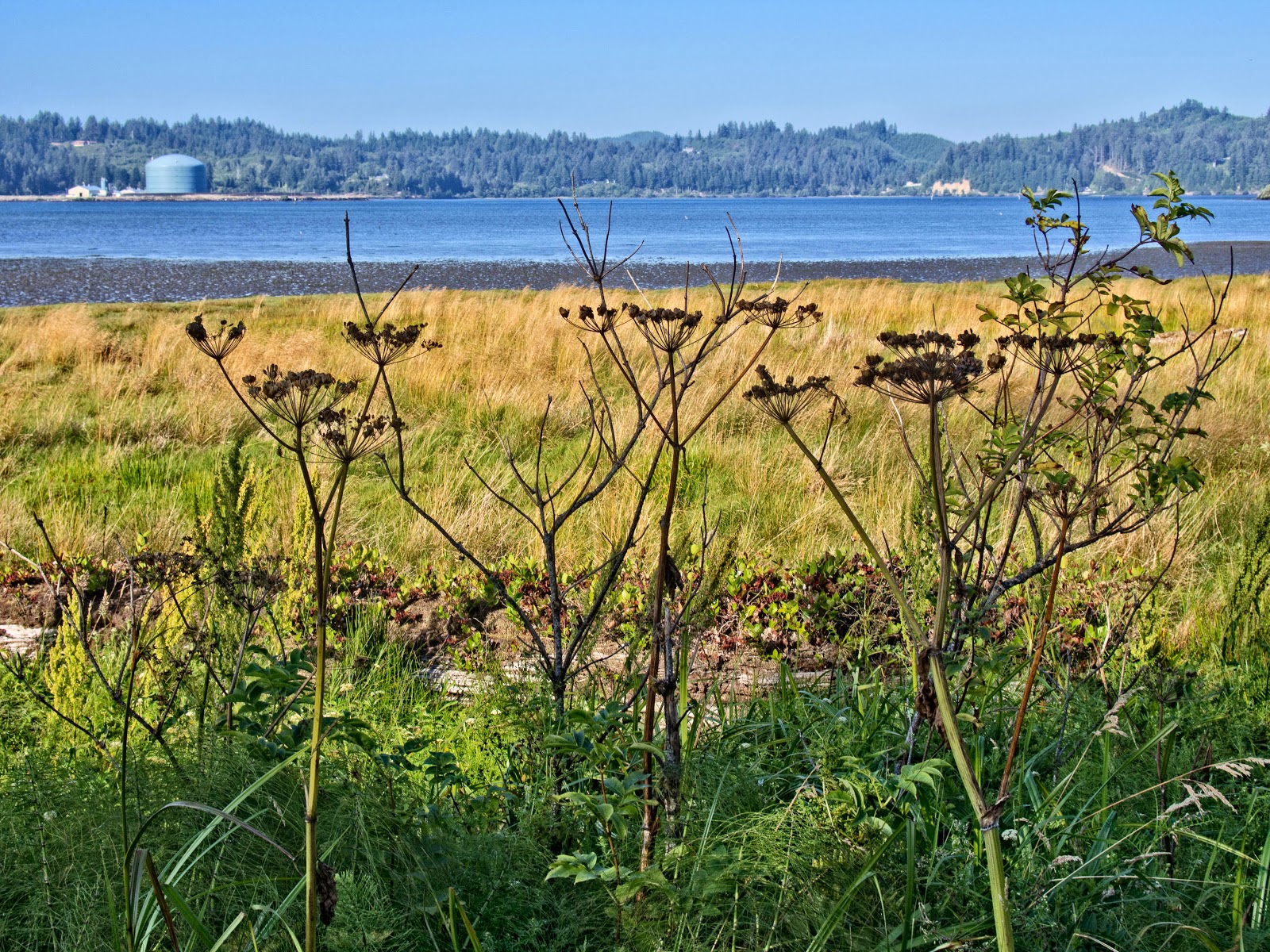 Thom Zehrfeld Photography : Newport Walking Club