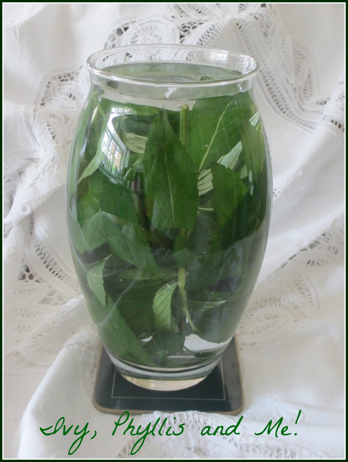 Ivy, Phyllis and Me!: MINT TEA